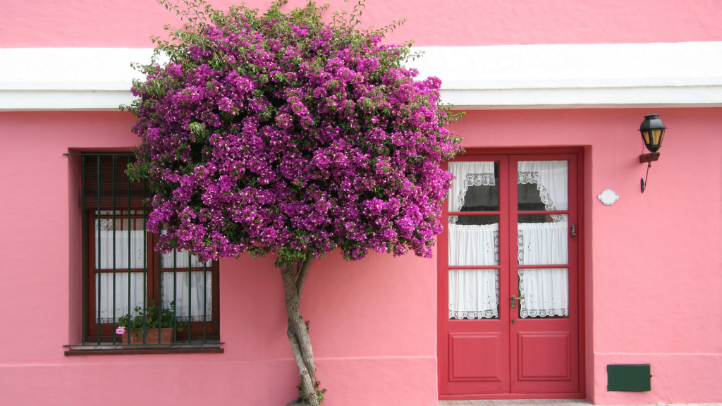 5 Tips Warna Tembok yang Cocok untuk Akhir Tahunmu - Rumah Syariah KPR